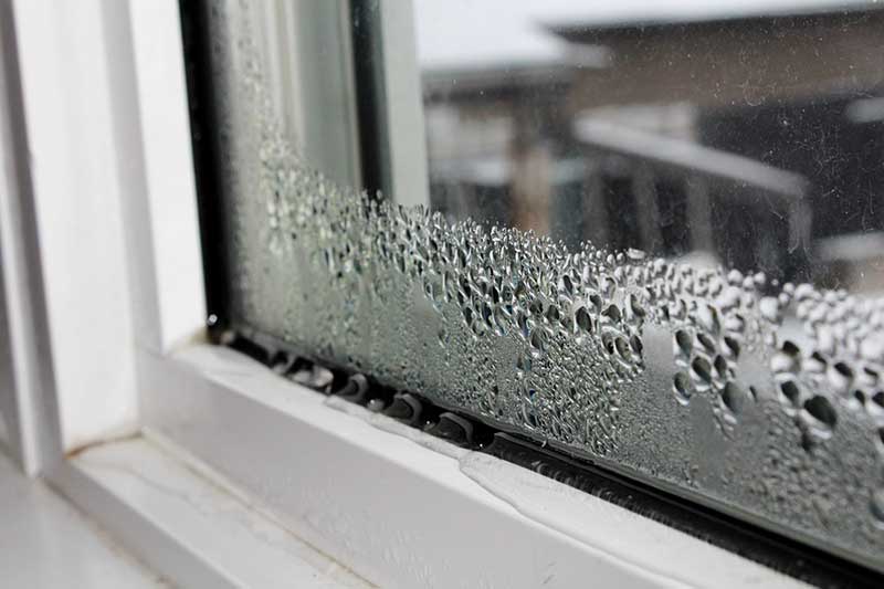 Home Window Damage: The Importance of High-Quality Windows Service